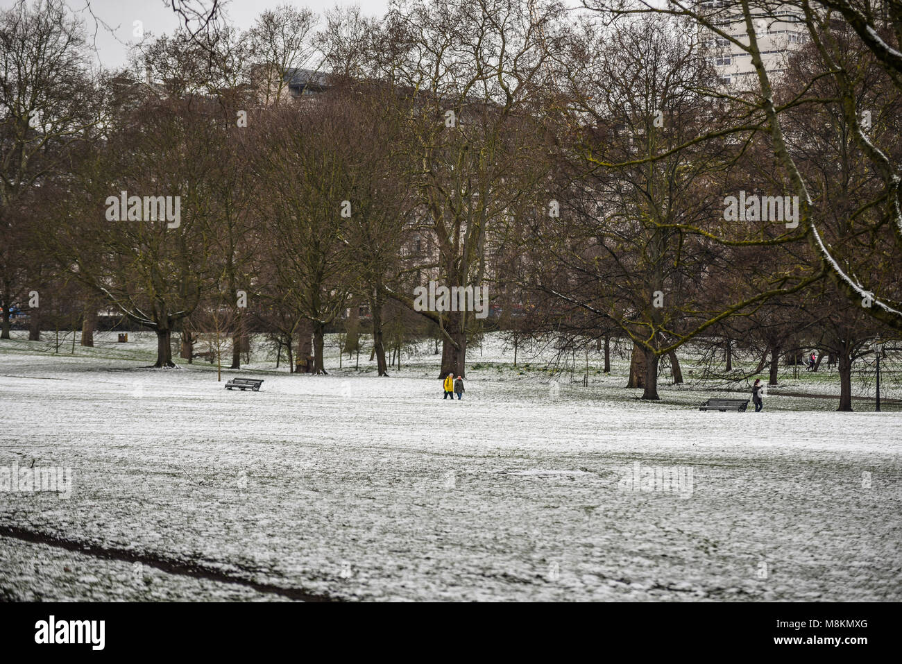 Green Park, London, with a layer of snow from Mini Beast from the East ...