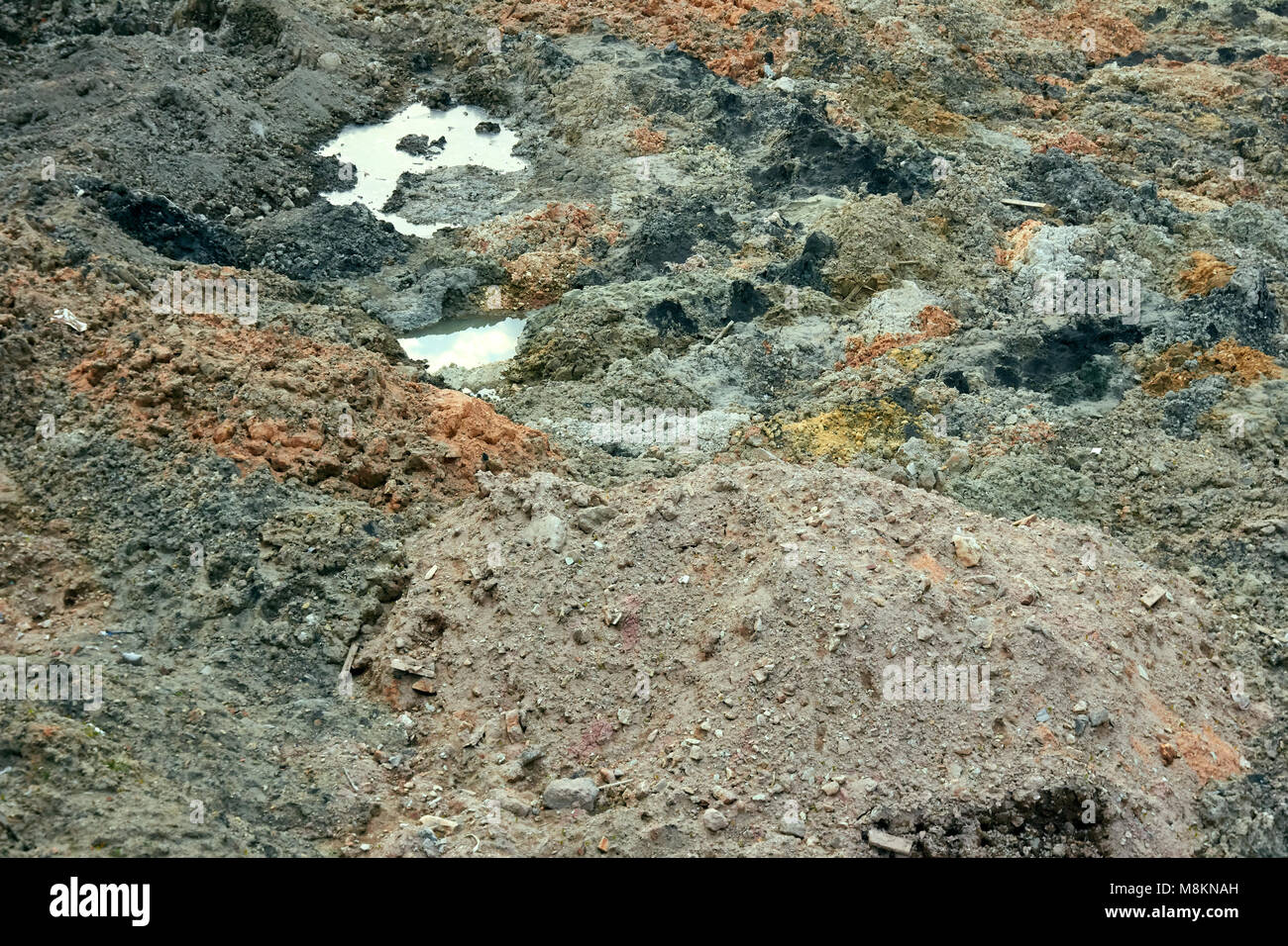 Wet mount hi-res stock photography and images - Alamy