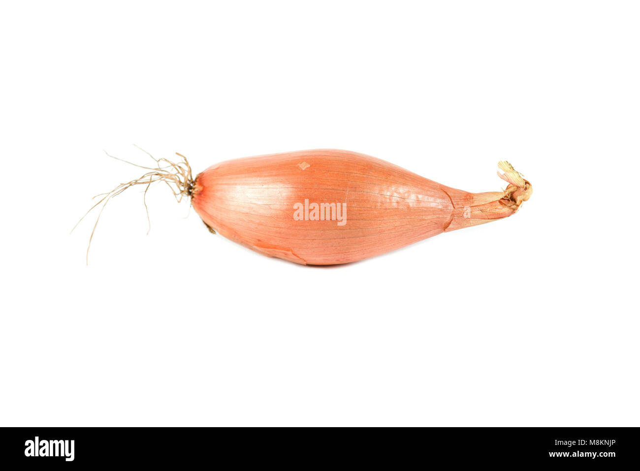 whole shallot with roots on white background Stock Photo - Alamy