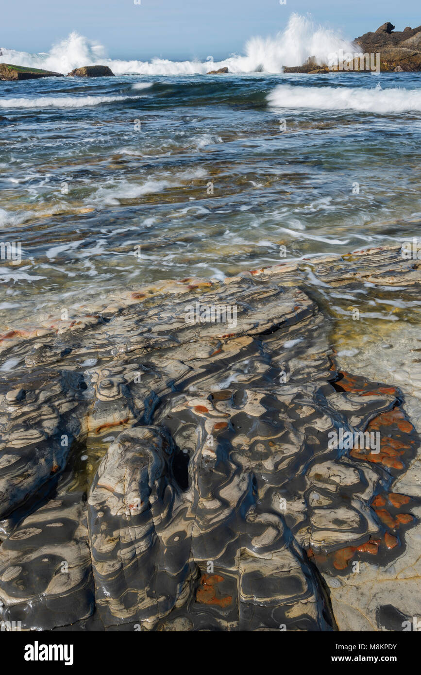 Waves, coastline, sedimentary rock Carmelo formation),Weston Beach, Pt ...