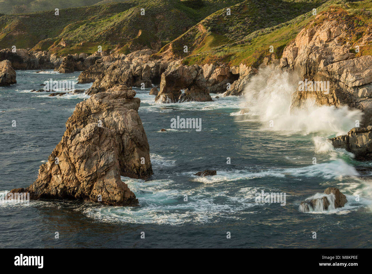 Surf, Garrapata State Park, CA USA. April, by Dominique Braud/Dembinsky ...