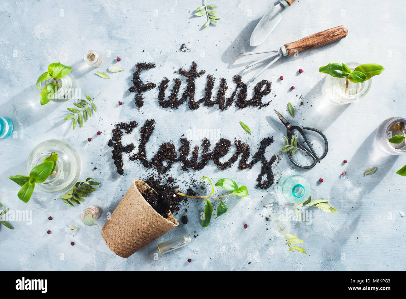 Gardening concept with Future Flowers lettering in high key. Gardener ...