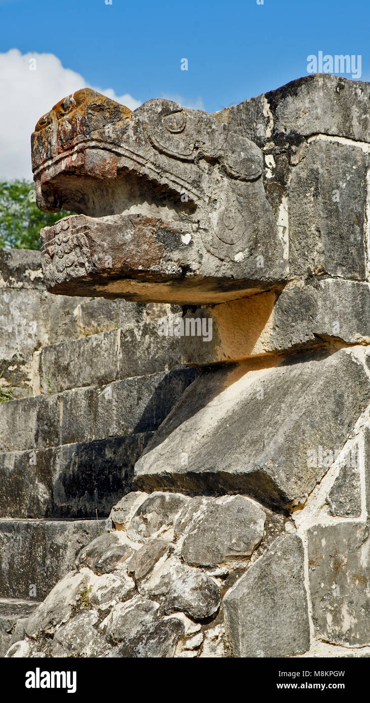 snake stone head in the snake stone head in the Yucatan jungle Stock ...