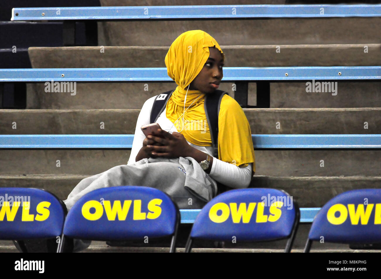 Female basketball sport spectator with smart phone Stock Photo - Alamy