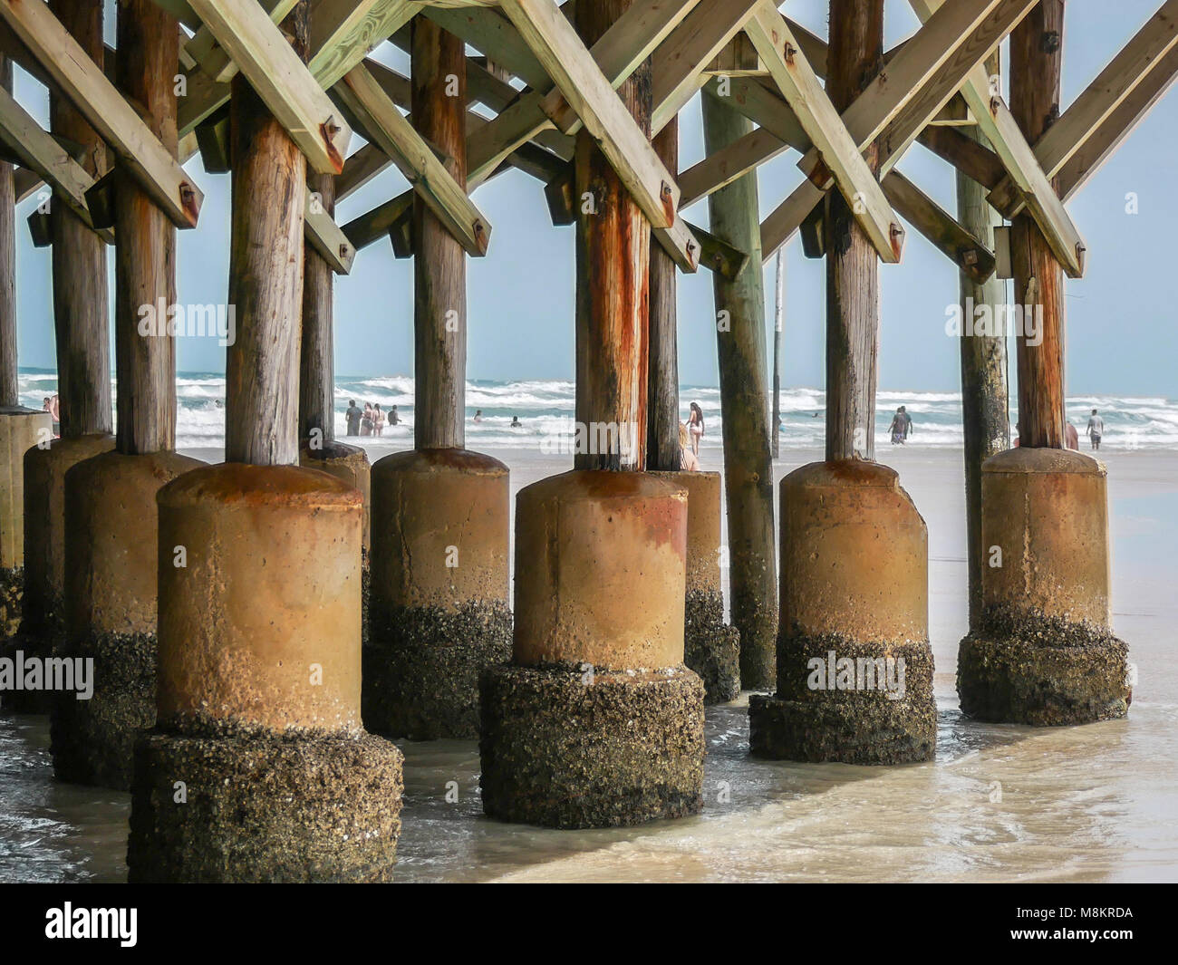 Florida barnacles hi-res stock photography and images - Alamy