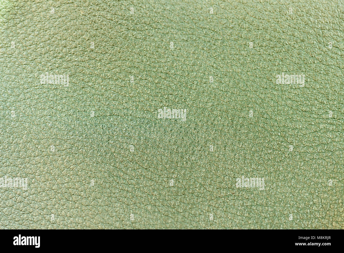 Genuine leather texture, light green color. Spring shopping ...
