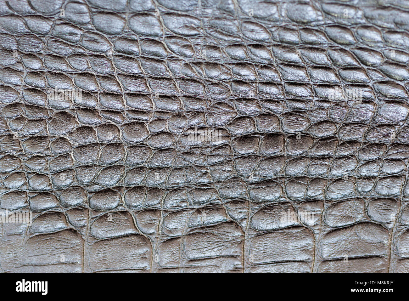 Genuine leather texture, grey, dark color, imitation of exotic reptile ...