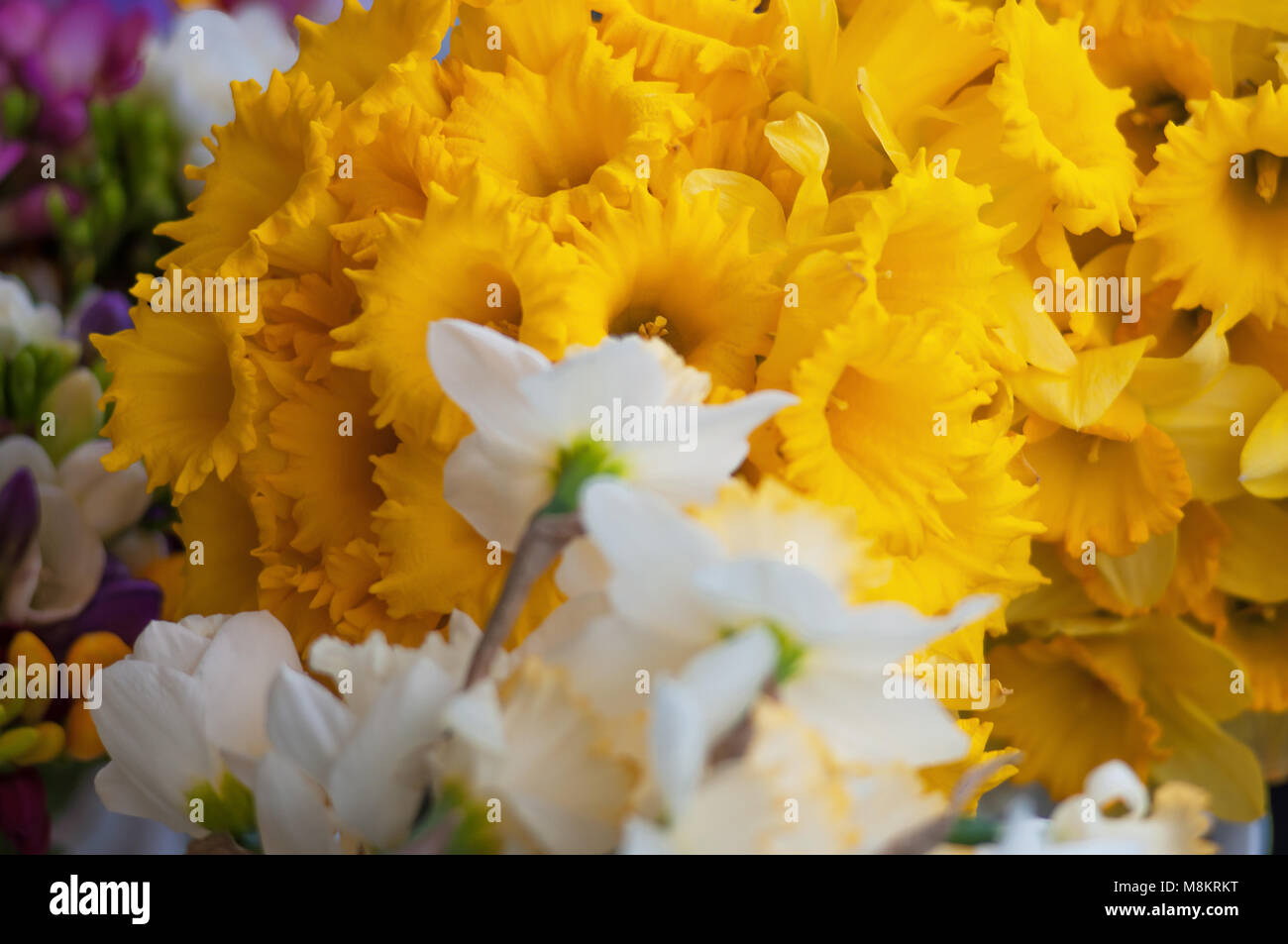 Prahdnik hi-res stock photography and images - Alamy