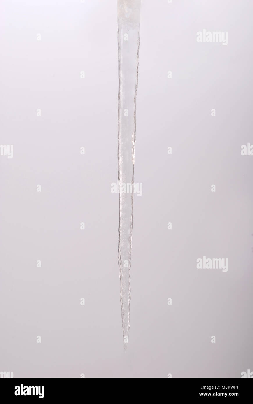 Icicle isolated on a grey background. Frozen water. Clipping path ...