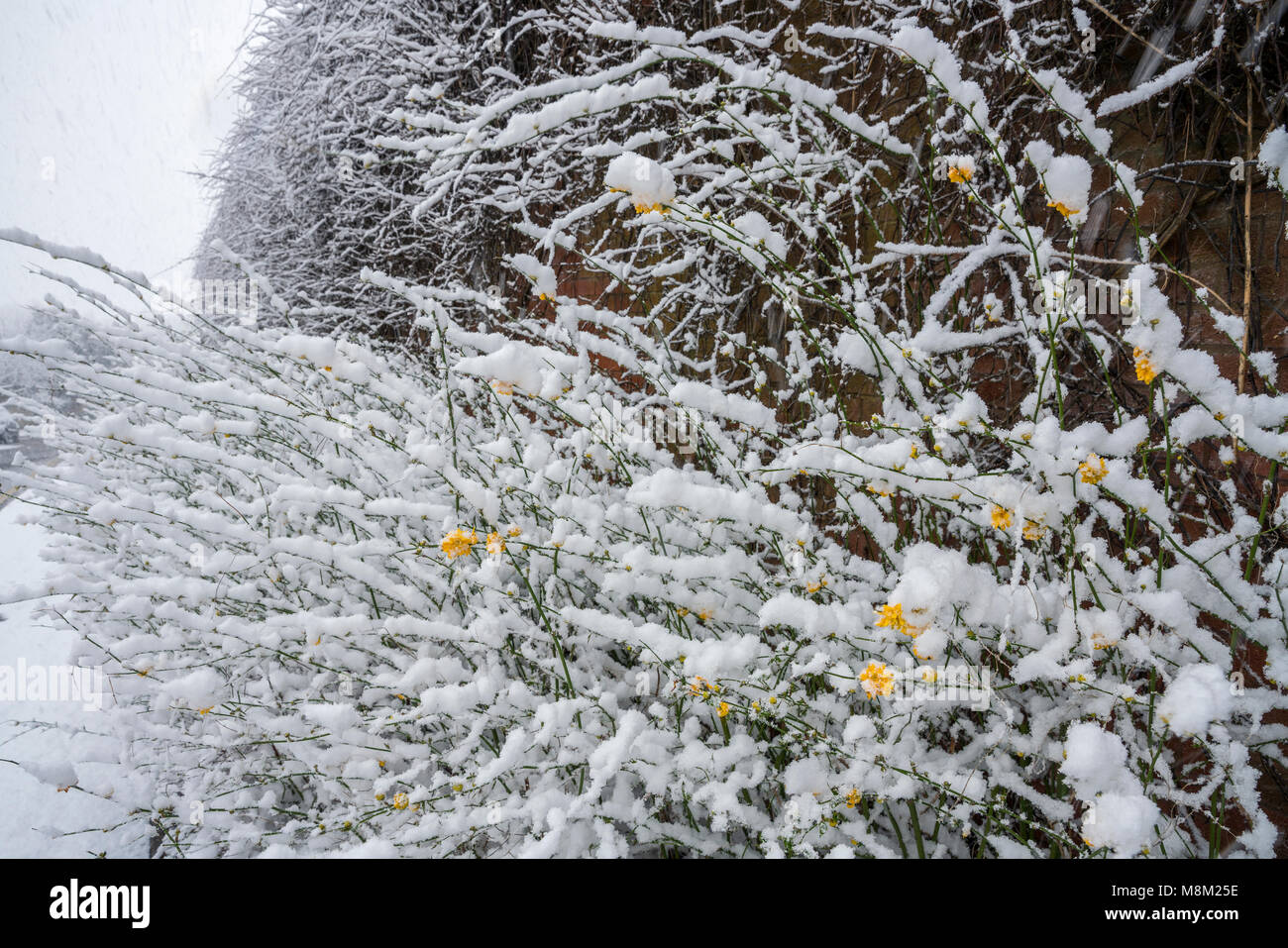 Exeter, Devon, UK. 18 March 2018. UK Weather. Winter back to Exeter ...