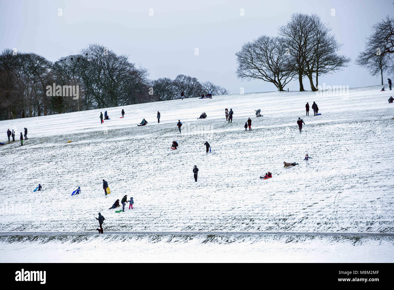 Leeds, Yorkshire, UK. 18th Mar, 2018. People seen using their sleds in ...