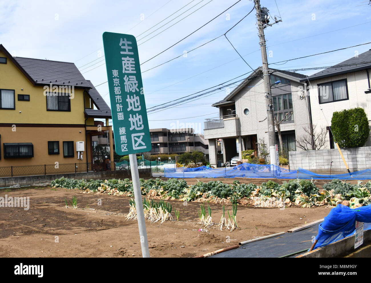 Tokyo, Japan. 18th Mar, 2018. A patch of so-called Productive Green ...