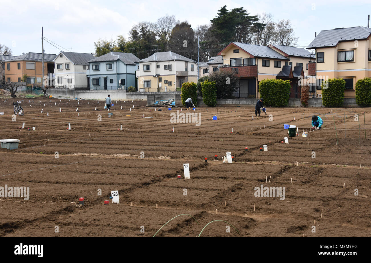 Tokyo, Japan. 18th Mar, 2018. A patch of so-called Productive Green ...