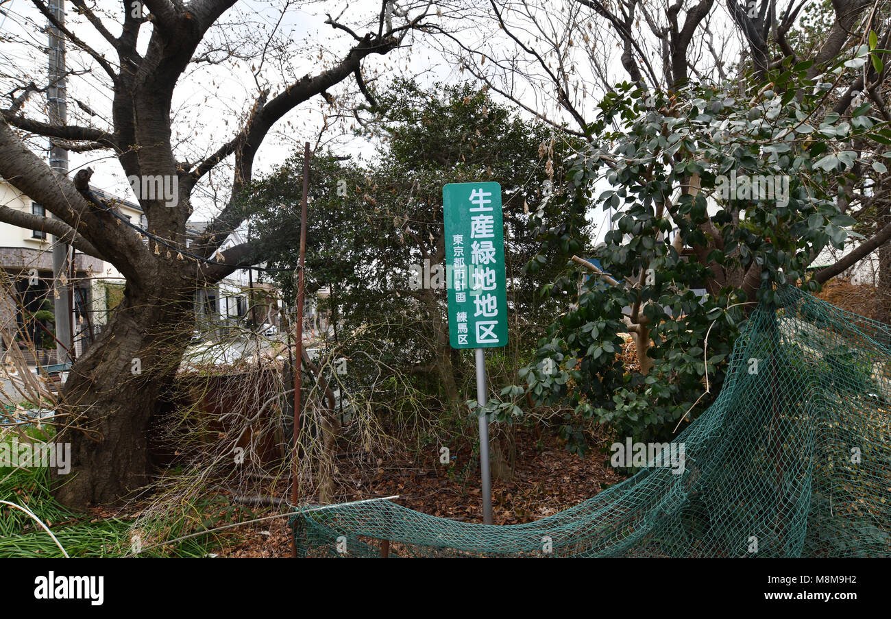 Tokyo, Japan. 18th Mar, 2018. A patch of so-called Productive Green ...