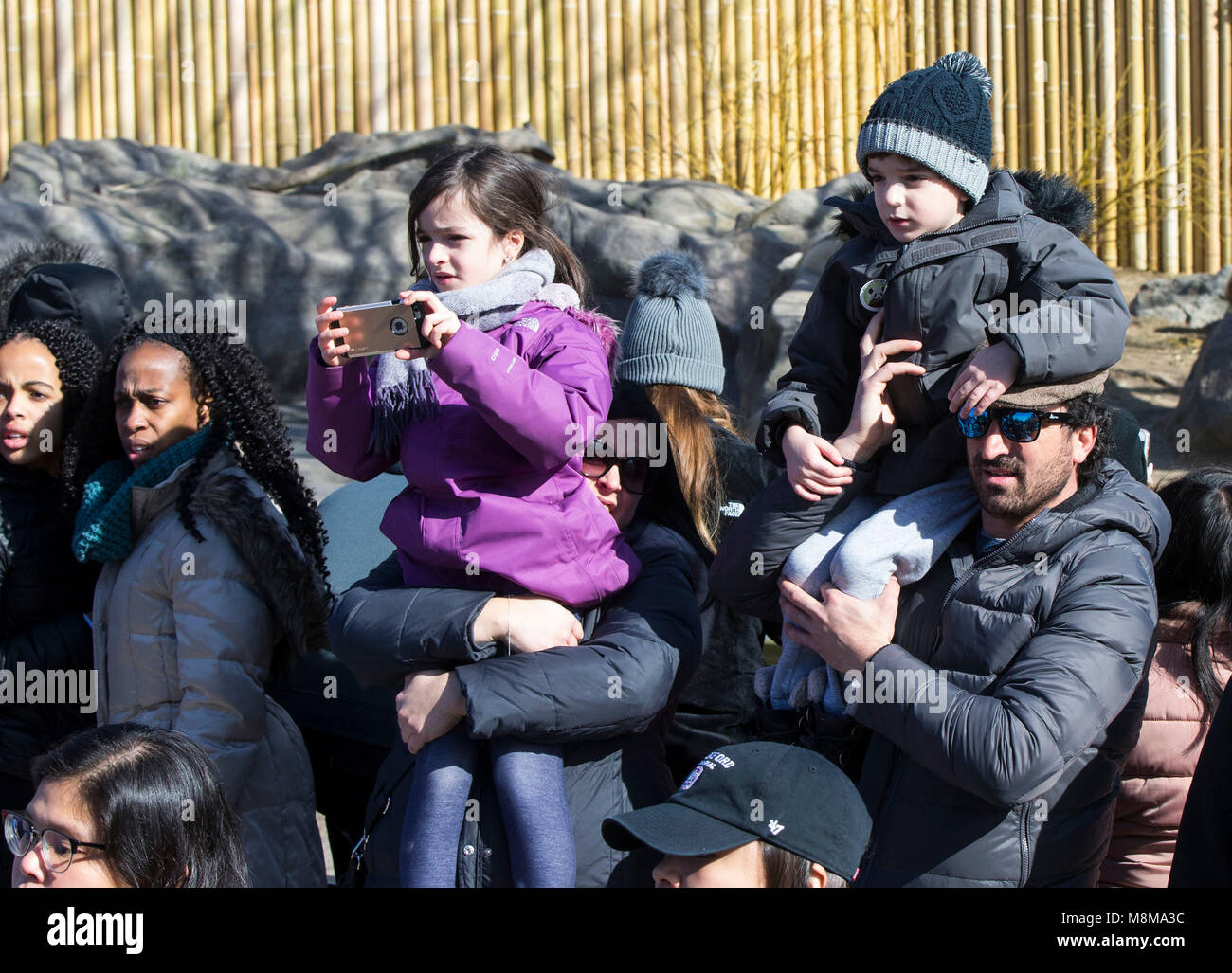 18 month panda hi-res stock photography and images - Alamy