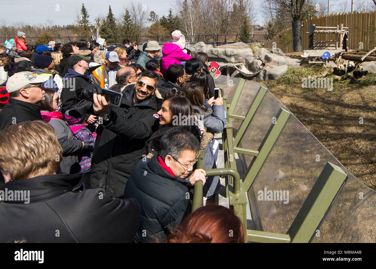 18 month panda hi-res stock photography and images - Alamy