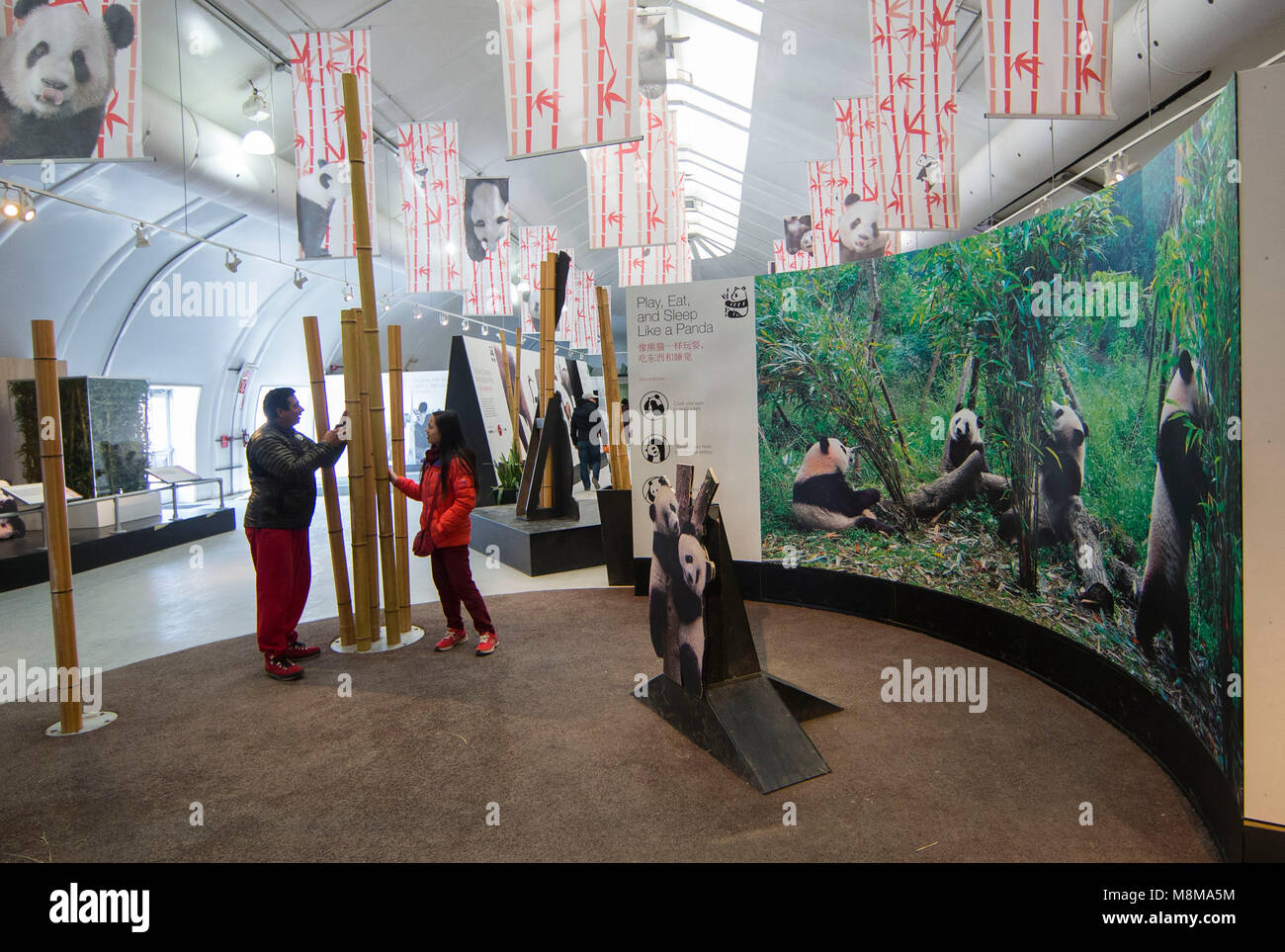 18 month panda hi-res stock photography and images - Alamy