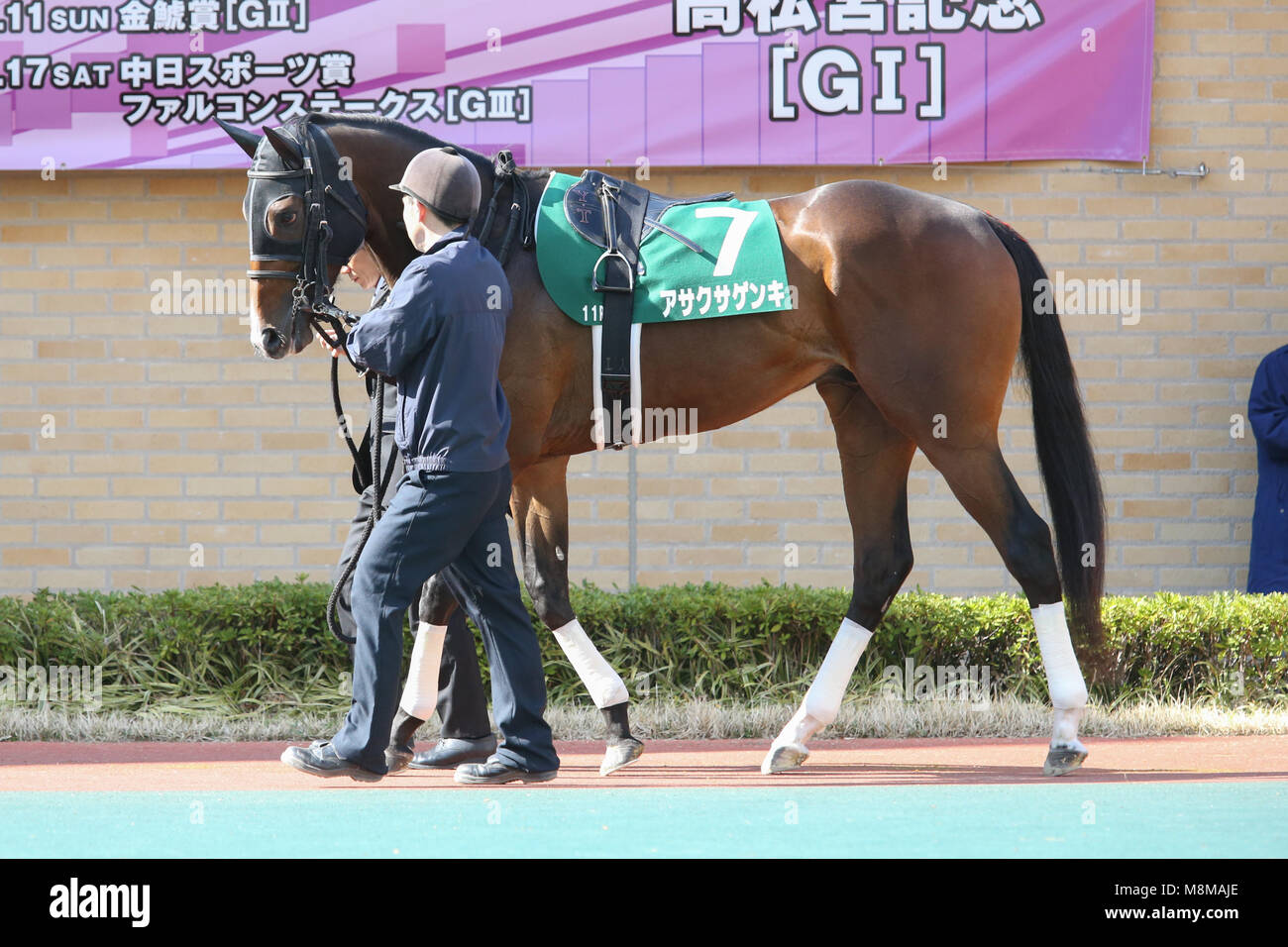 Aichi, Japan. 17th Mar, 2018. Asakusa Genki Horse Racing : Asakusa ...