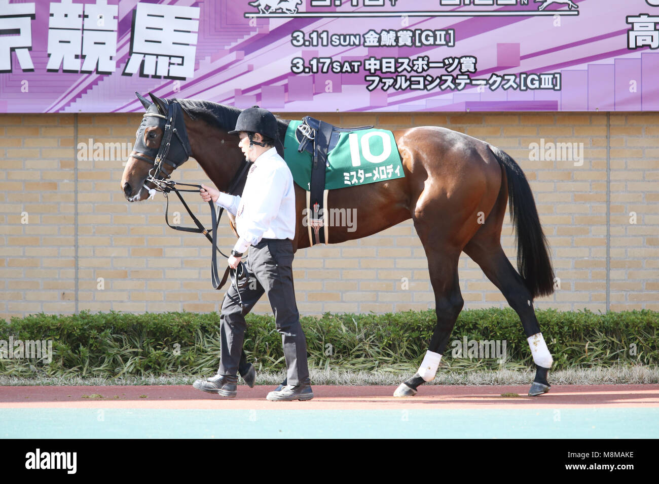 Aichi, Japan. 17th Mar, 2018. Mr Melody Horse Racing : Mr Melody is led ...