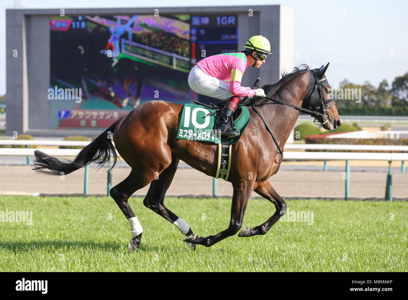 Aichi, Japan. 17th Mar, 2018. Mr Melody (Yuichi Fukunaga) Horse Racing ...