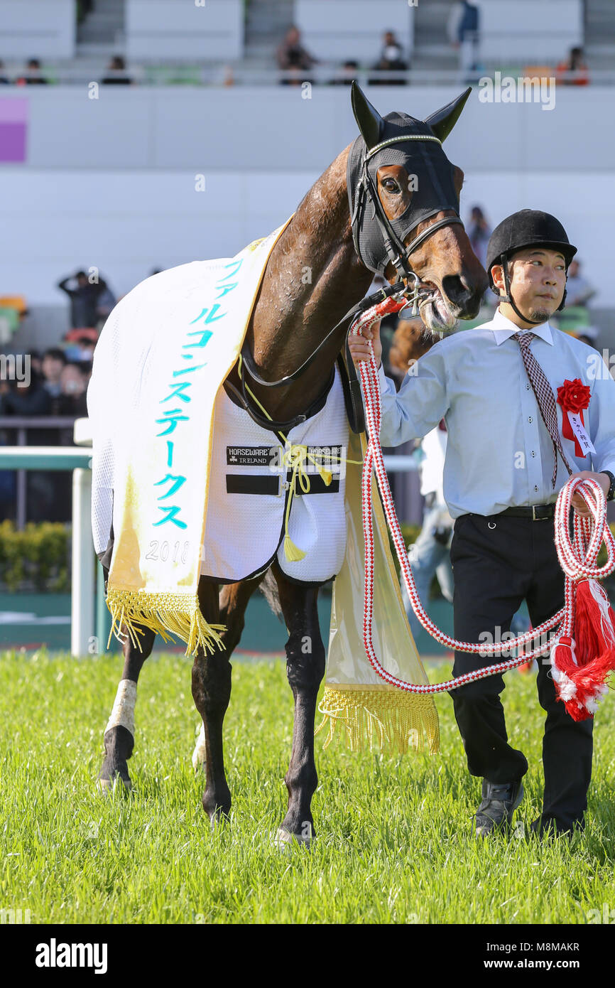 Aichi, Japan. 17th Mar, 2018. Mr Melody Horse Racing : Mr Melody after ...