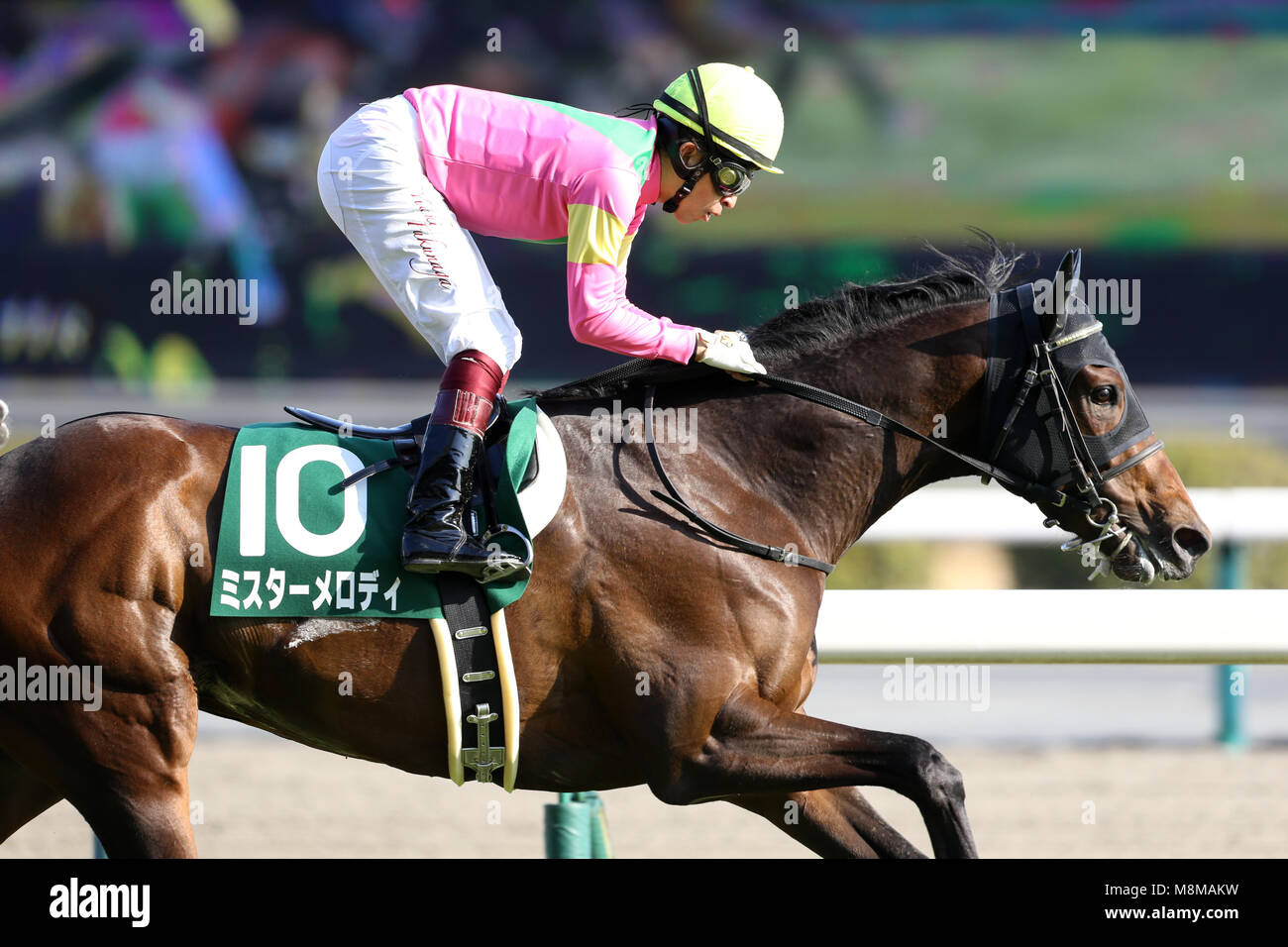 Aichi, Japan. 17th Mar, 2018. Mr Melody (Yuichi Fukunaga) Horse Racing ...