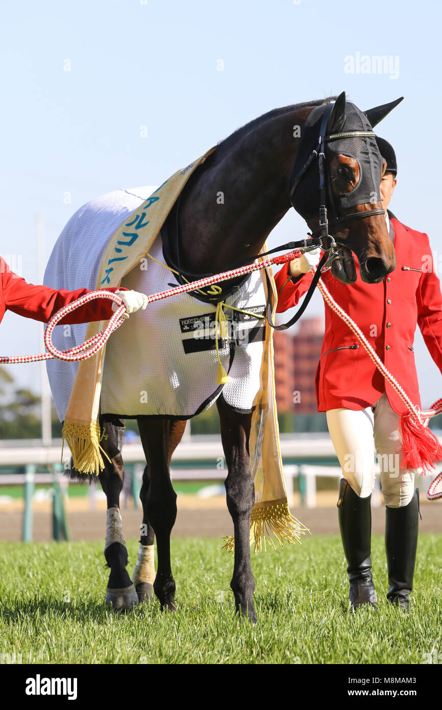 Aichi, Japan. 17th Mar, 2018. Mr Melody Horse Racing : Mr Melody after ...