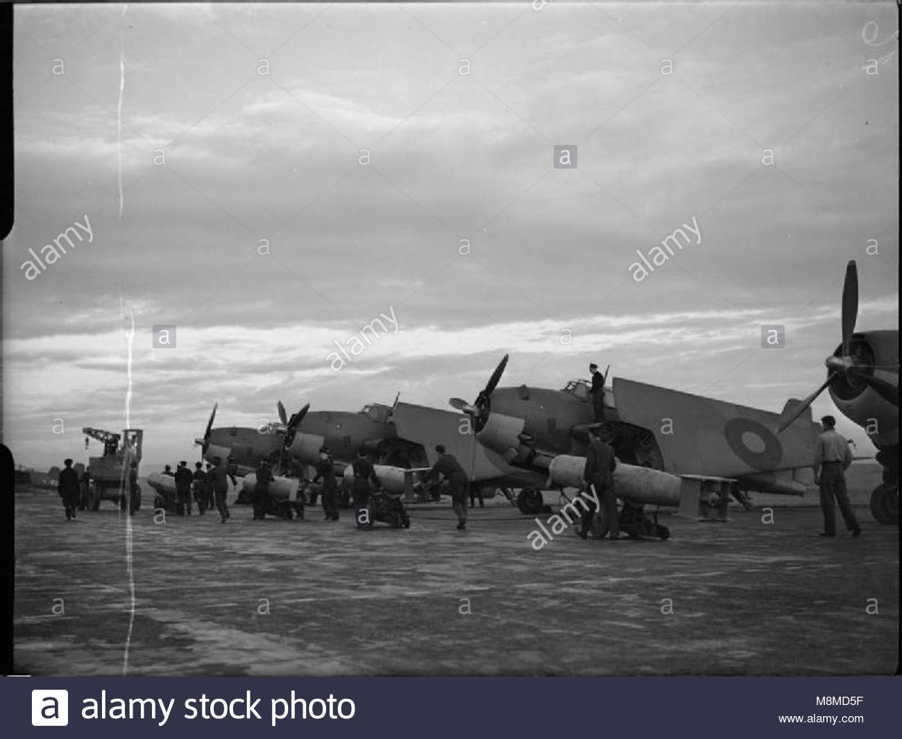 Torpedo Bombers Stock Photos & Torpedo Bombers Stock Images - Alamy