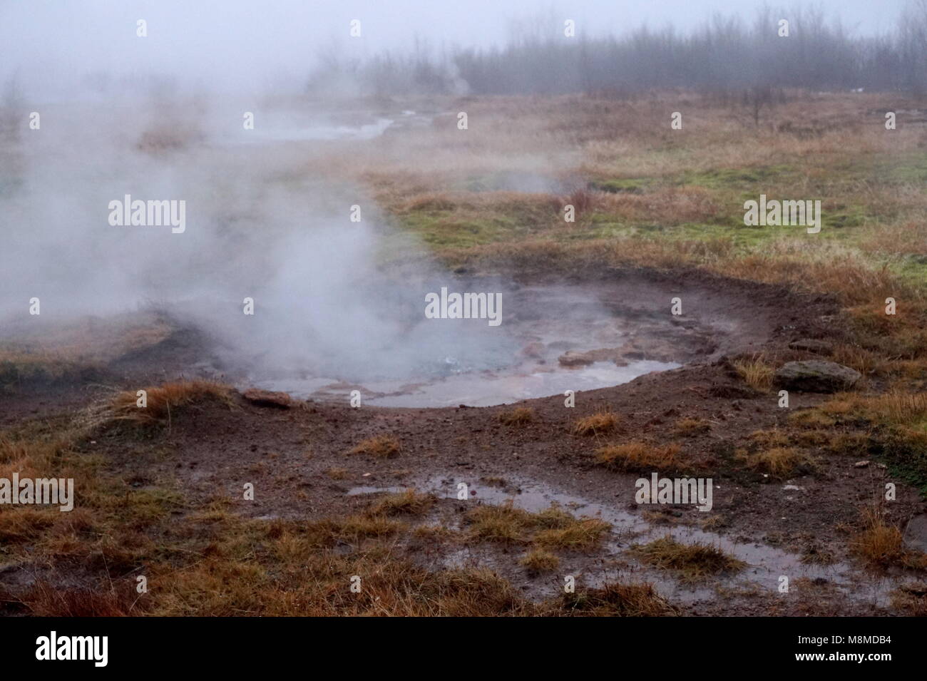 A steaming fumarole Haukadalur geothermal area in the Golden Circle ...