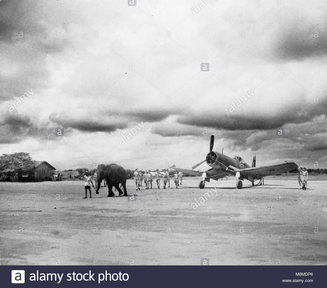Sri Lanka Navy Stock Photos & Sri Lanka Navy Stock Images - Alamy