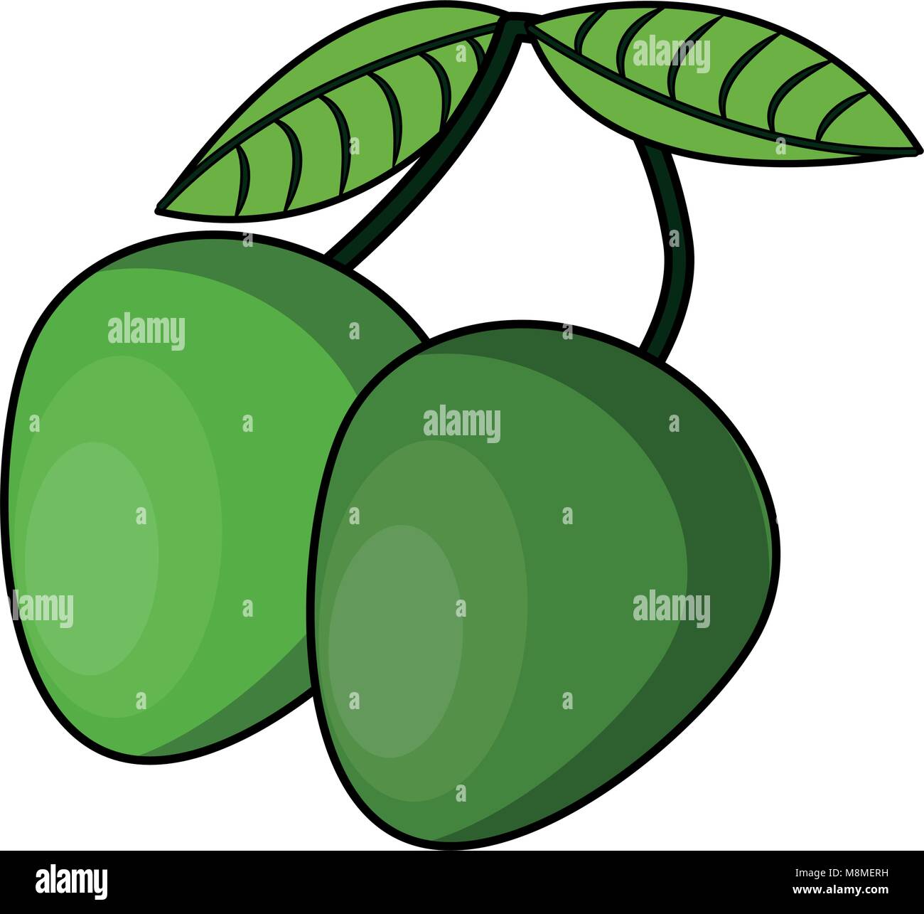 genips fruit isolated Stock Vector Image & Art - Alamy