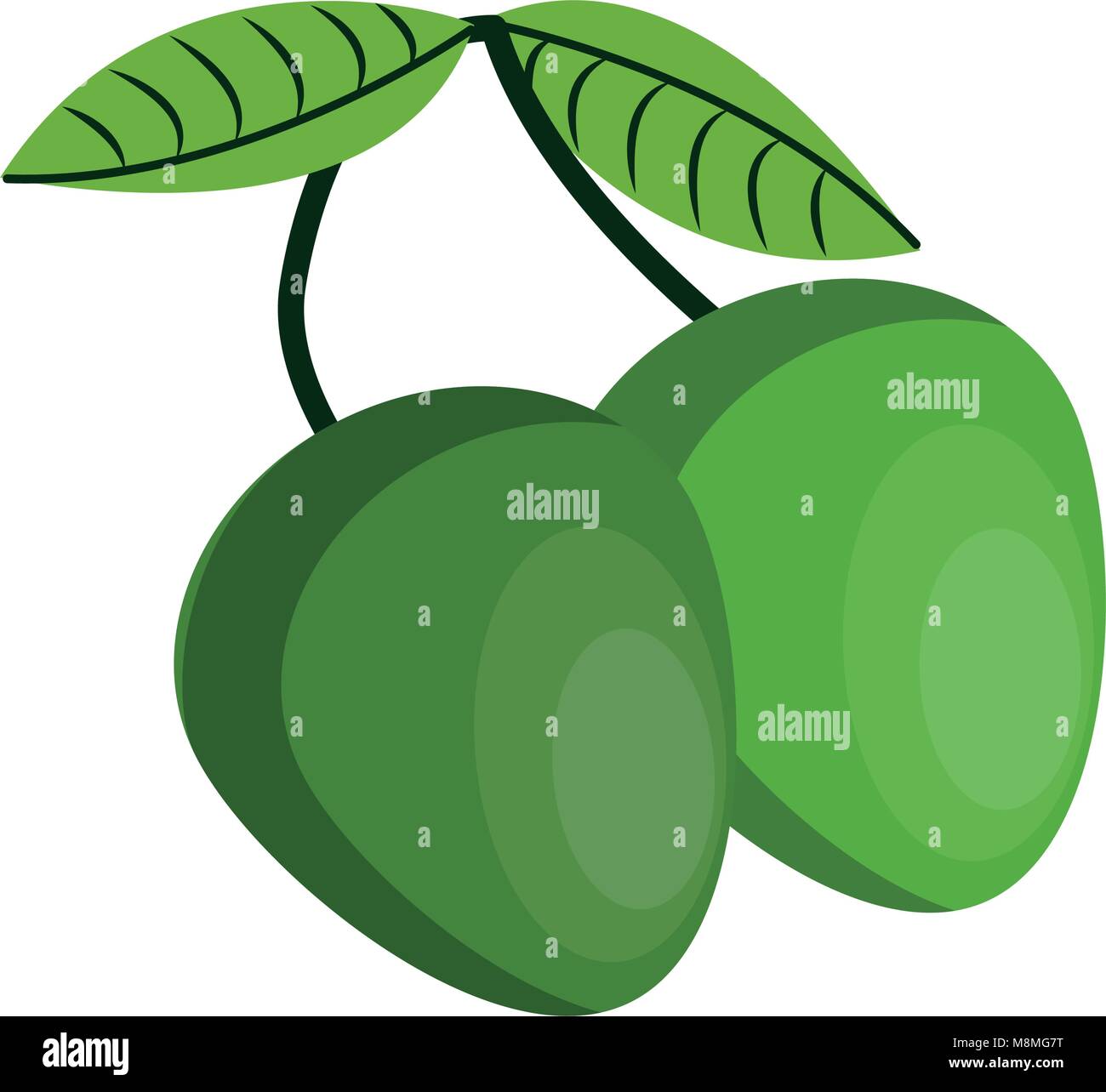genips fruit isolated Stock Vector Image & Art - Alamy