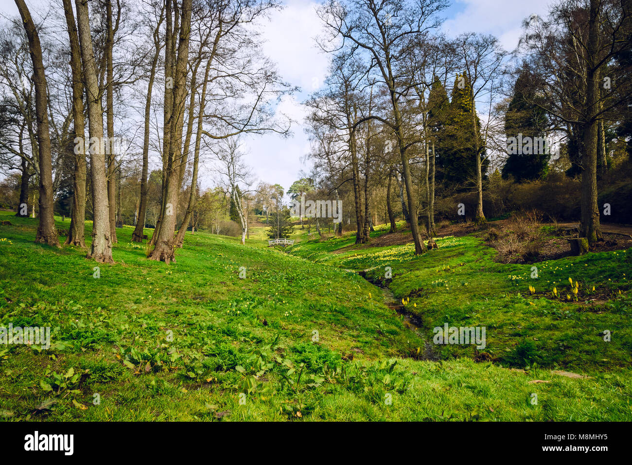 Valley crossed hi-res stock photography and images - Alamy
