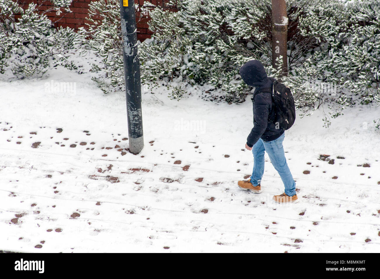 Walking to Work Through the Snow Stock Photo - Alamy