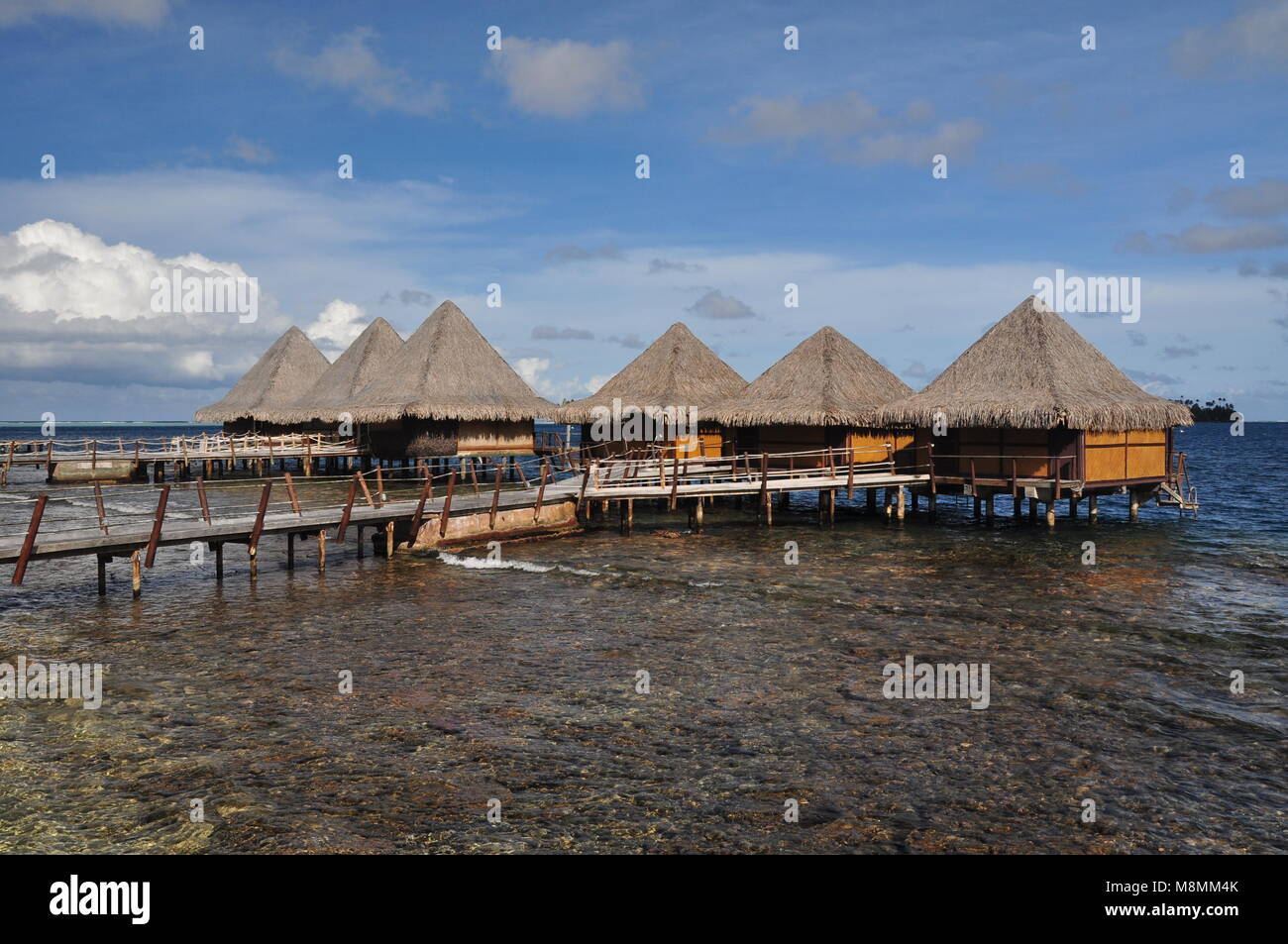 Hammock rangiroa french polynesia hi-res stock photography and images ...