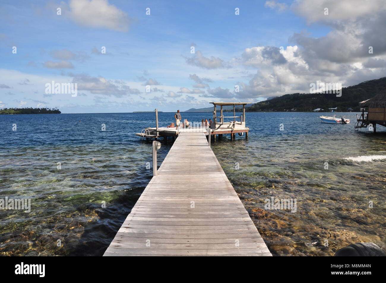 Hammock rangiroa french polynesia hi-res stock photography and images ...