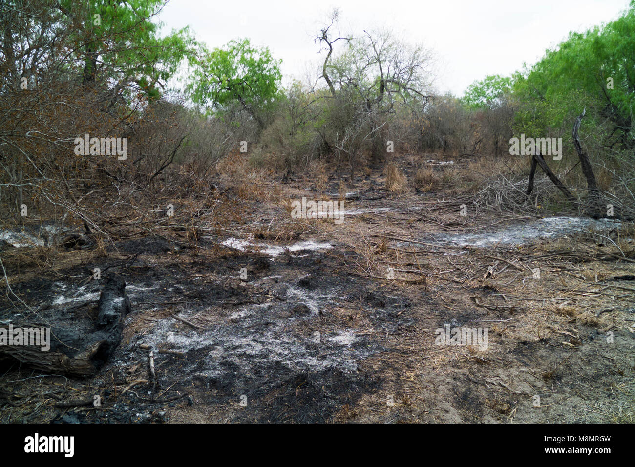 Fire containment hi-res stock photography and images - Alamy