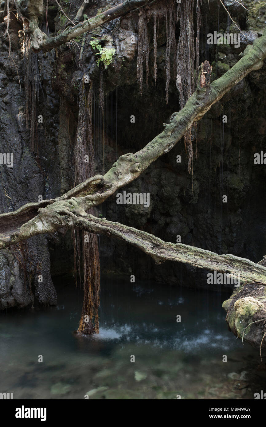 Aphroditie’s bath on the Akamas peninsula, Polis, Cyprus, Mediterranean ...