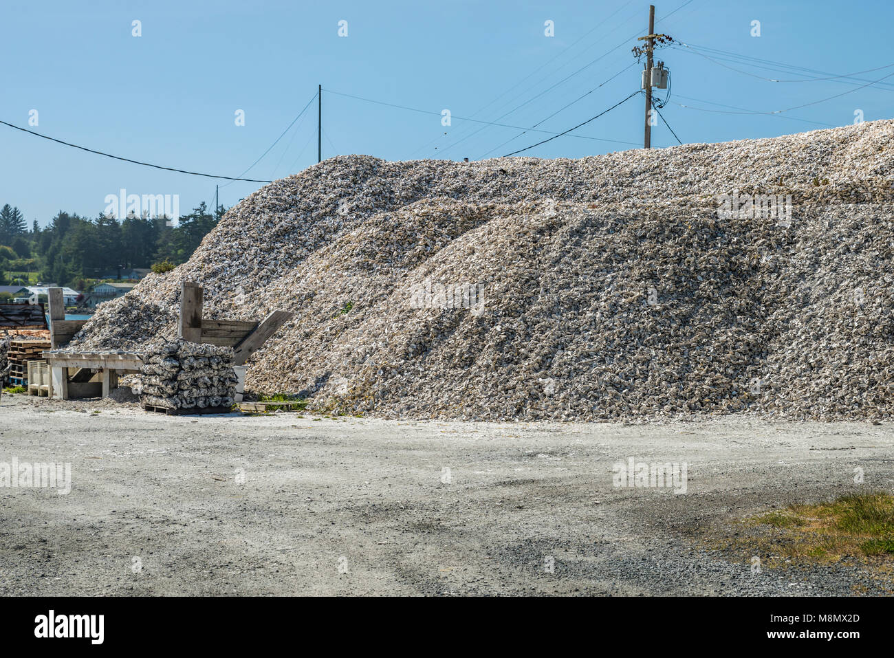 Mounds of oyster shells at Qualman Oyster Farms in Coos Bay, Oregon ...