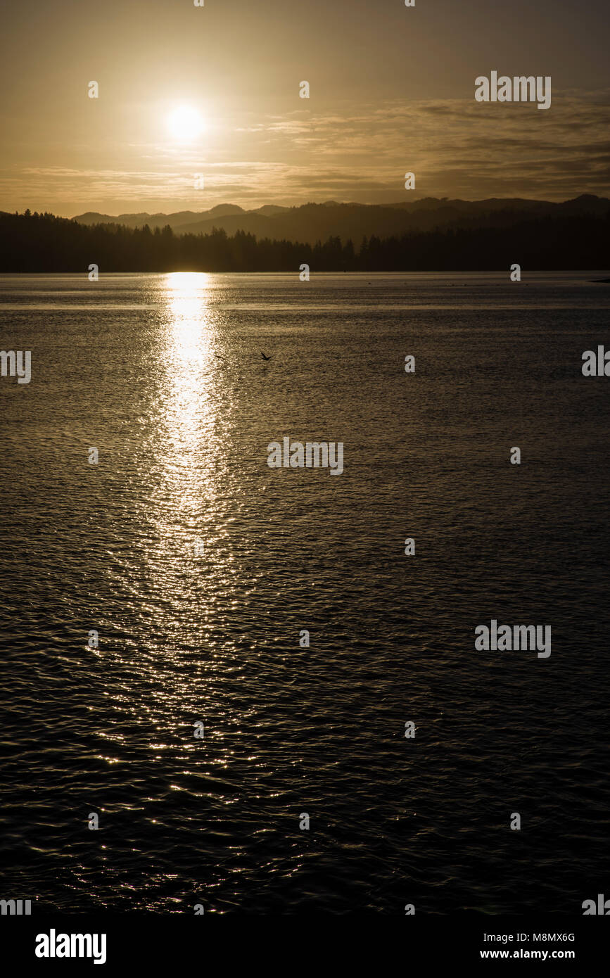 Reflecting morning sun hi-res stock photography and images - Alamy
