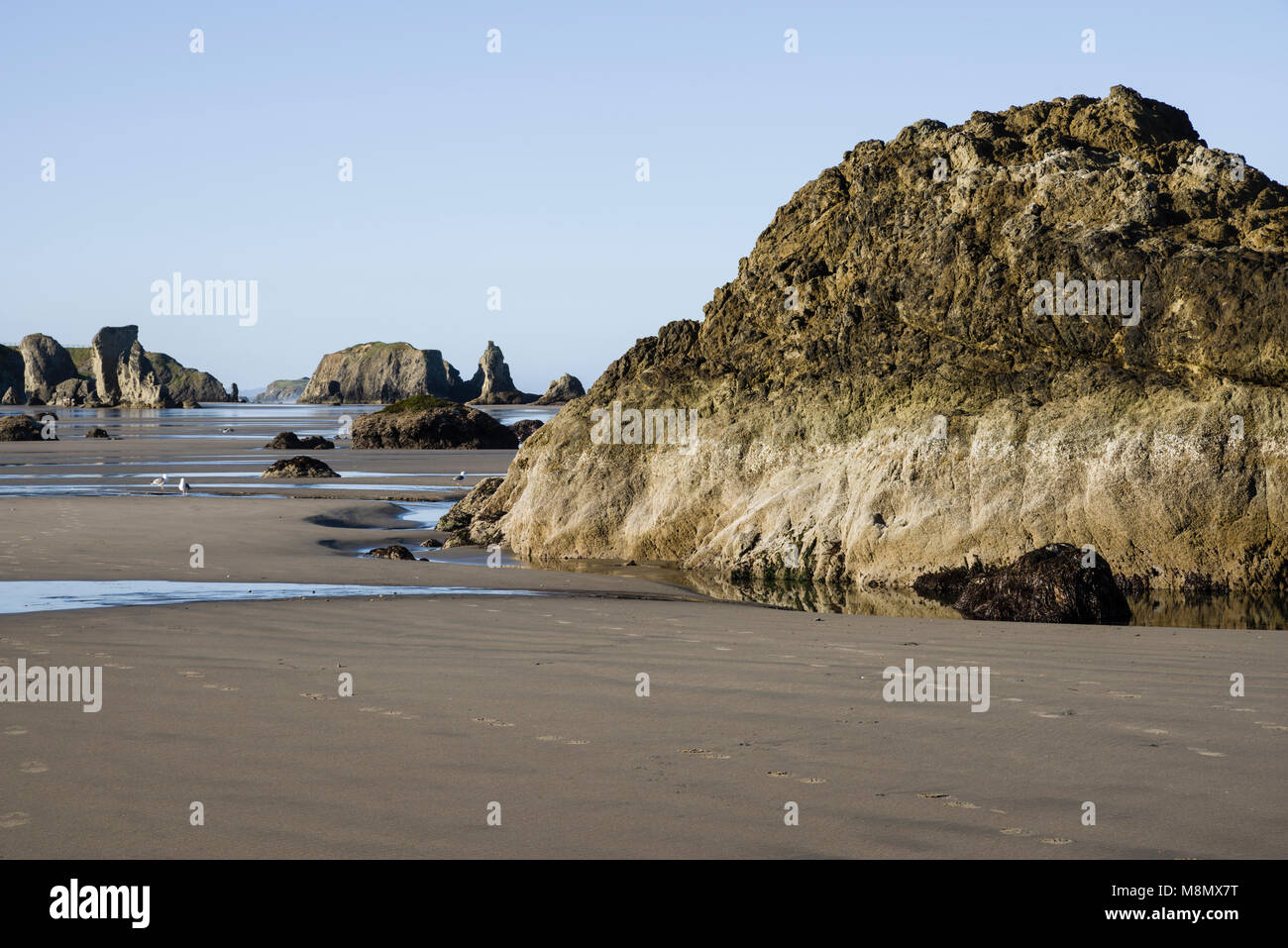 Rock outcrops off the Oregon Coast. Bandon, Oregon Stock Photo - Alamy