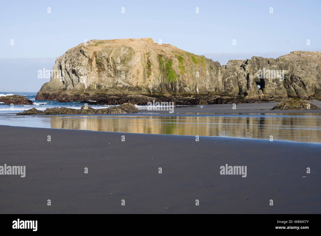 Rock outcrops off the Oregon Coast. Bandon, Oregon Stock Photo - Alamy