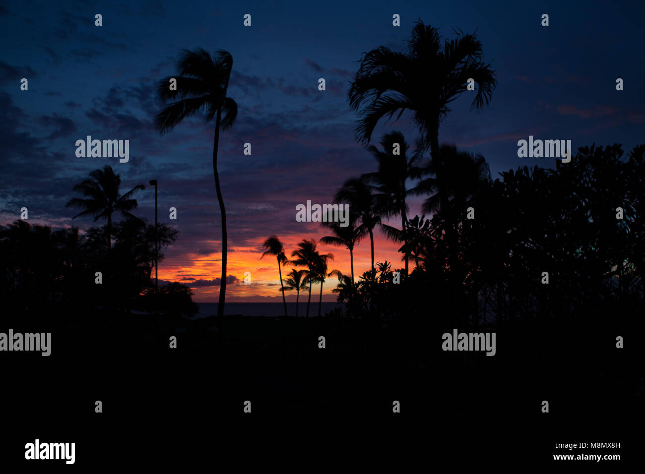 Vivid colors displayed during a sunset on the island of Maui silhouette ...