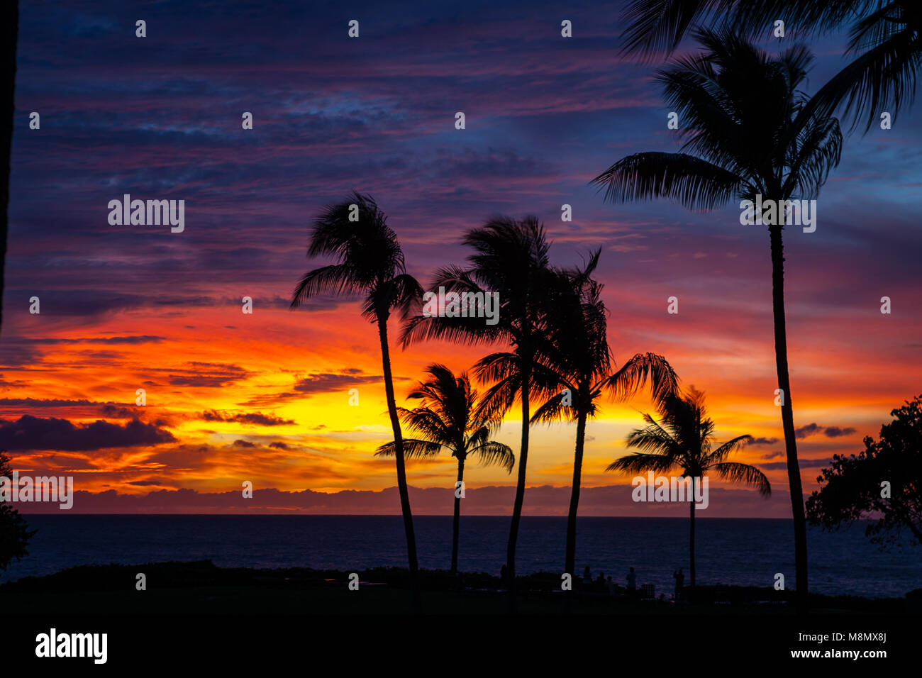 Vivid colors displayed during a sunset on the island of Maui silhouette ...