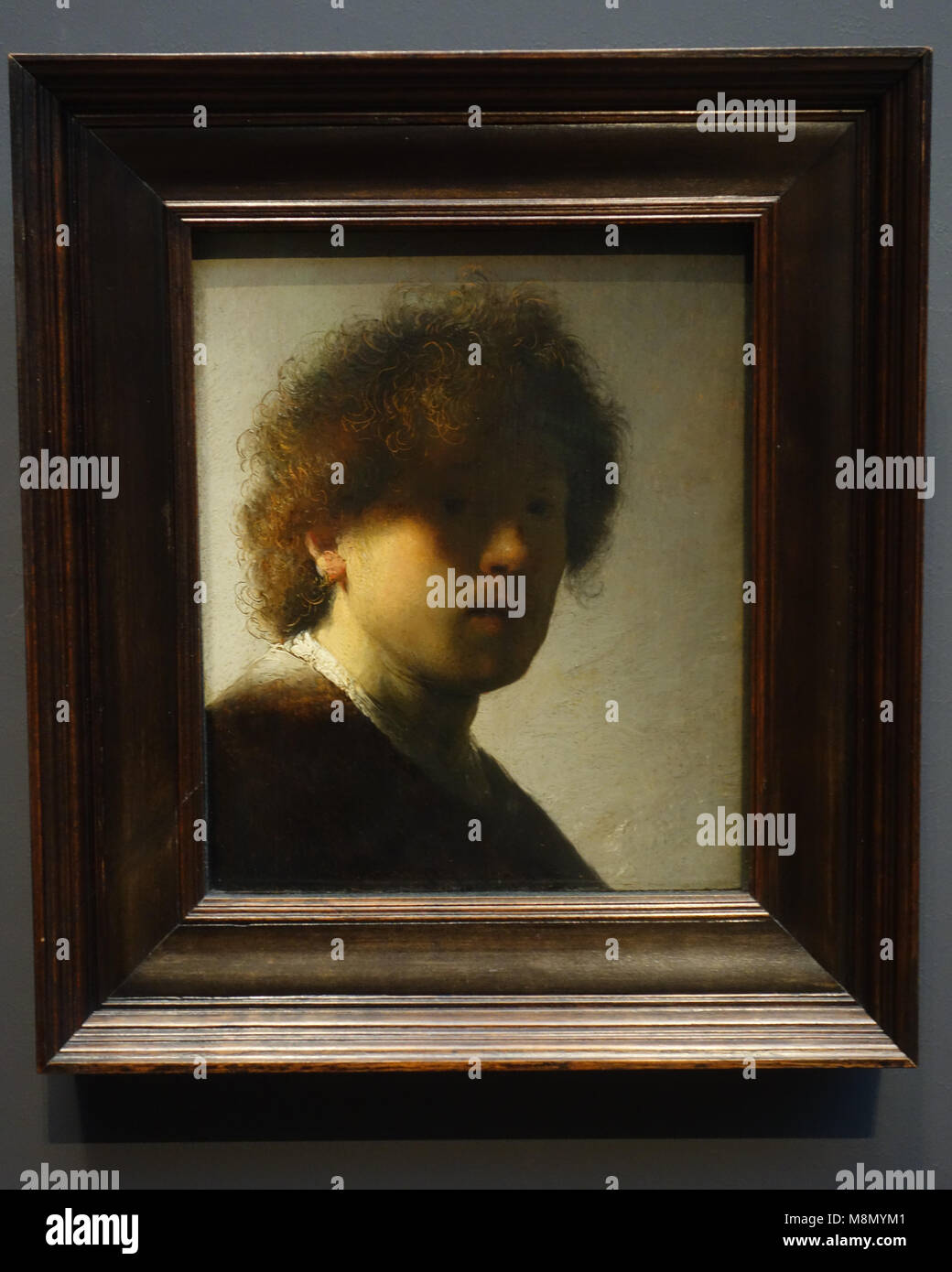 Rijksmuseum rembrandt hi-res stock photography and images - Alamy