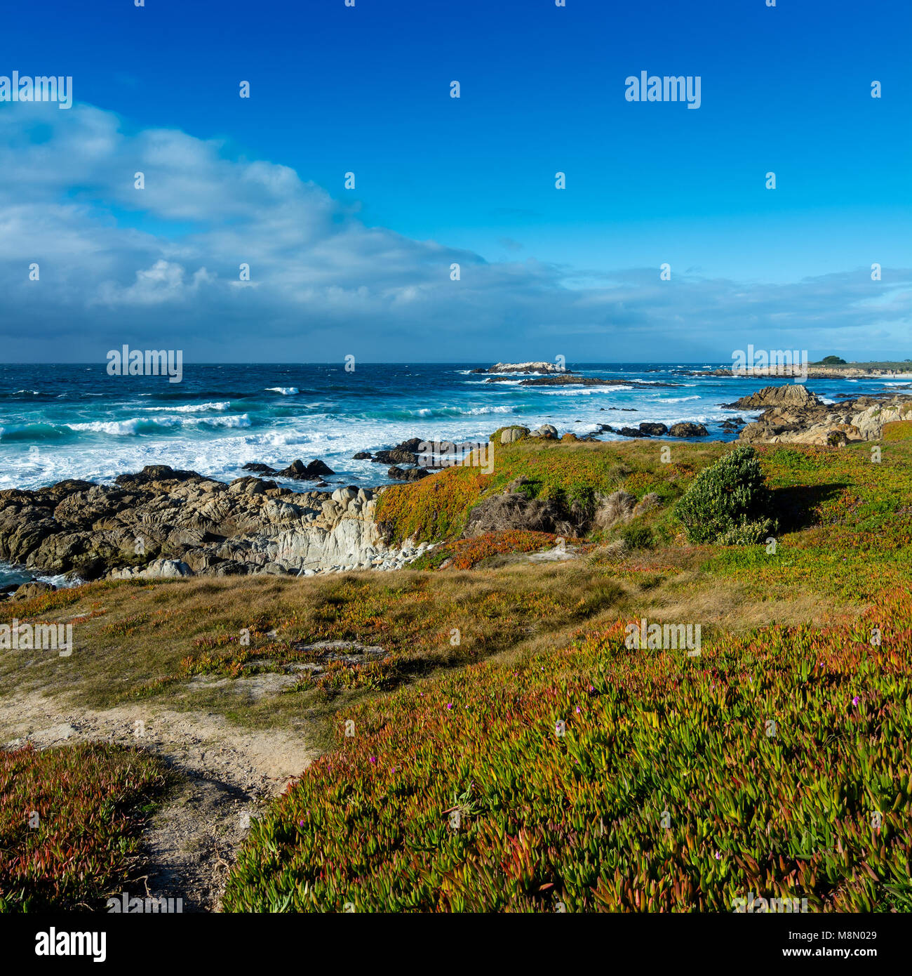 View of the ocean near Pebble beach, Pebble Beach, Monterey Peninsula ...