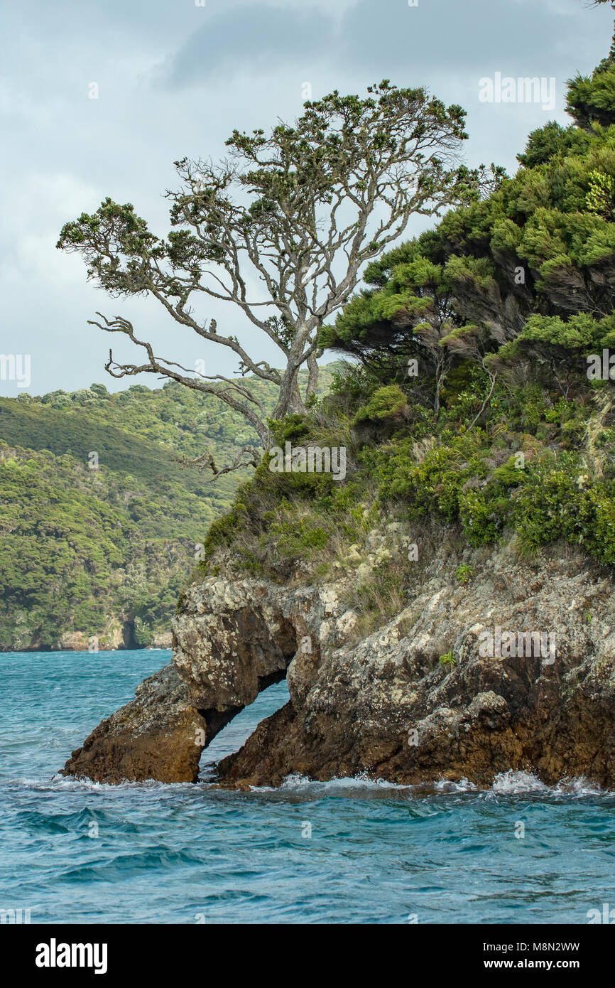 Moturua island hi-res stock photography and images - Alamy