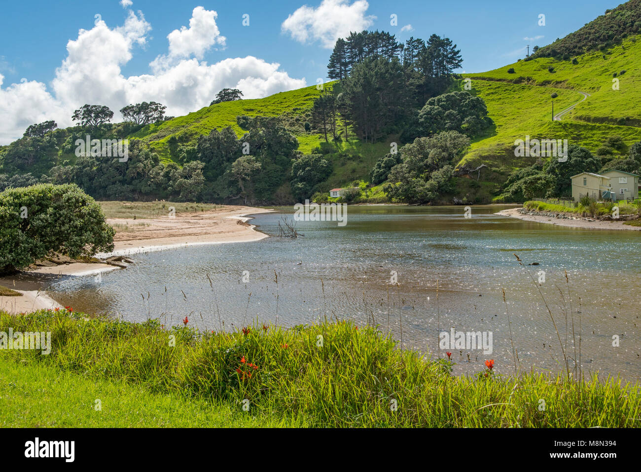 Tauranga river hi-res stock photography and images - Alamy