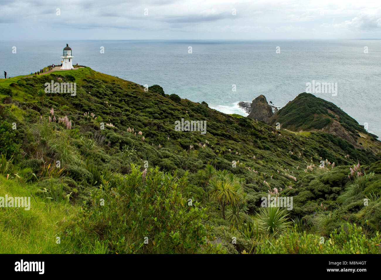 Cape Reinga Lighthouse Stock Photos & Cape Reinga Lighthouse Stock ...