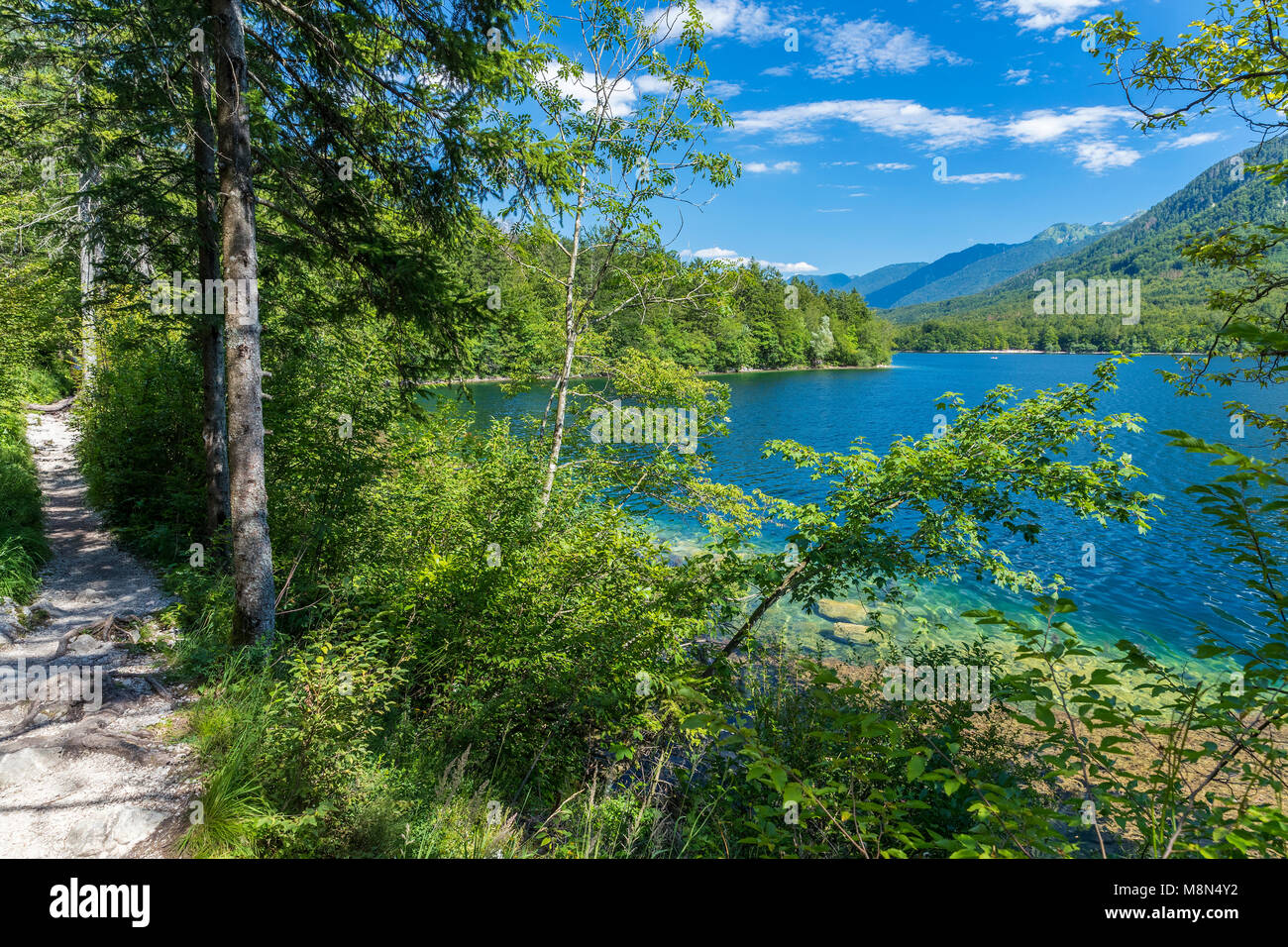 Lake Bohinj, Triglav National Park, Ukanc, Upper Carniola, Slovenia ...